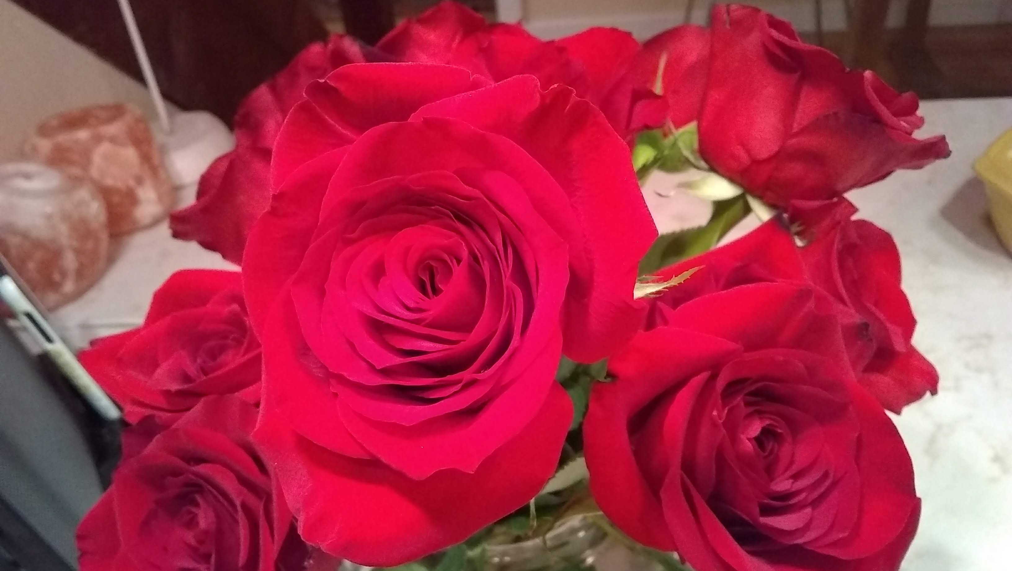 Fundraiser for Douglas Rose by Mary Beth Emerson : The Rose Family with ...