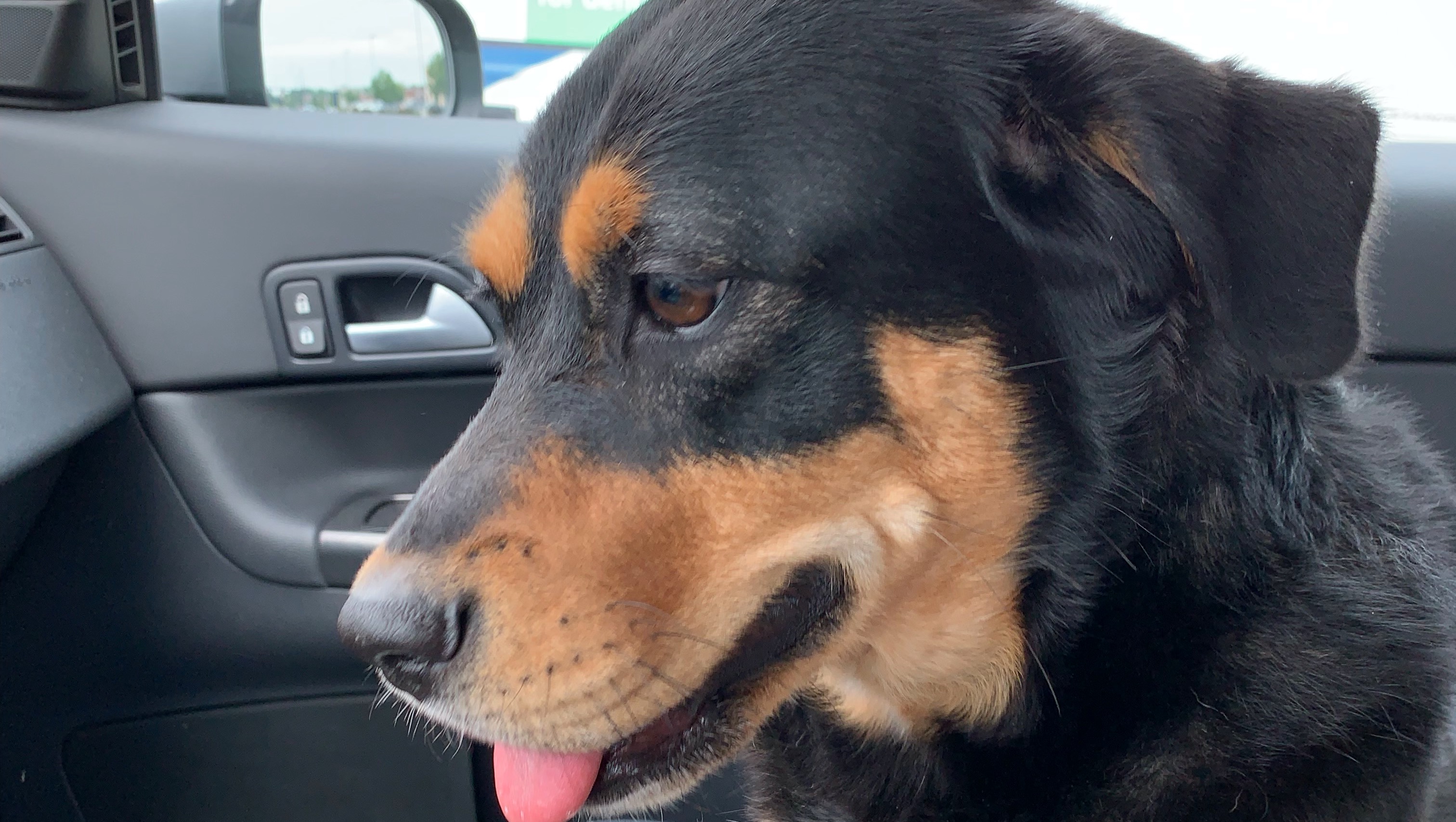 Fundraiser for Daniel Kelver by Luke Cygan : ACL surgery for Frankie ...