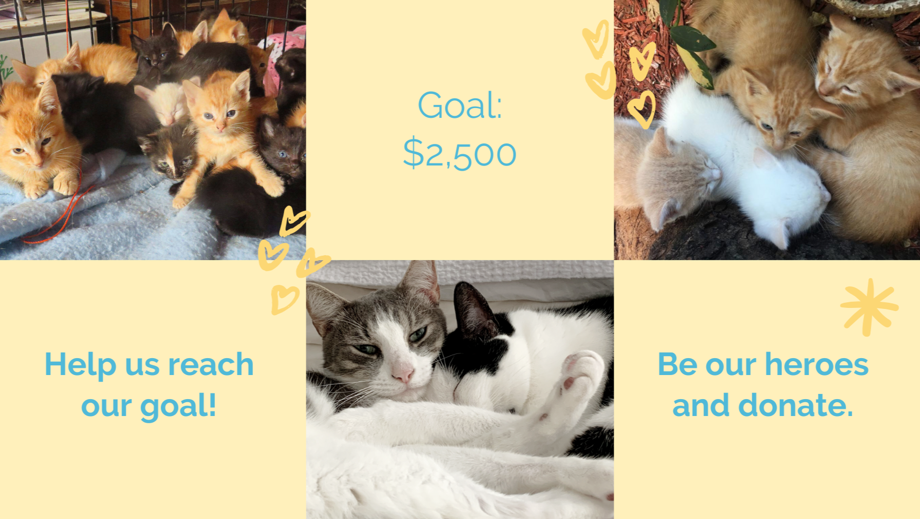 Fundraiser for Kurt Eduardo Von Simson by Alexander Von Simson : Alex ...