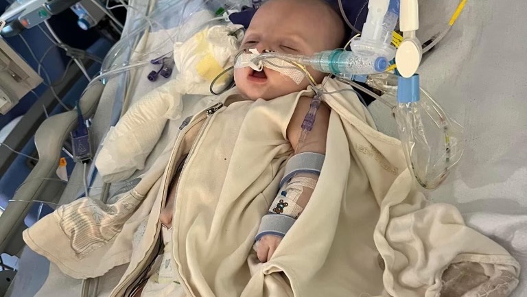 Fundraiser for Sarra Duque by Sara Doty : Reyna Elizabeth Jones Anderson