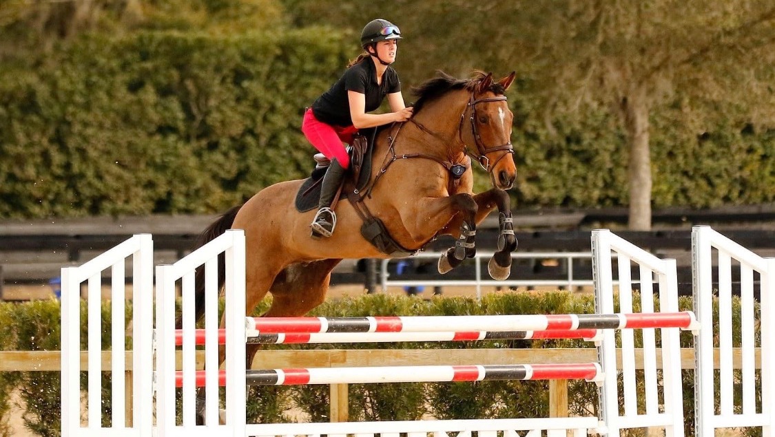 Fundraiser by Sydney Montieth : Help Cass Represent Canada at Tryon!