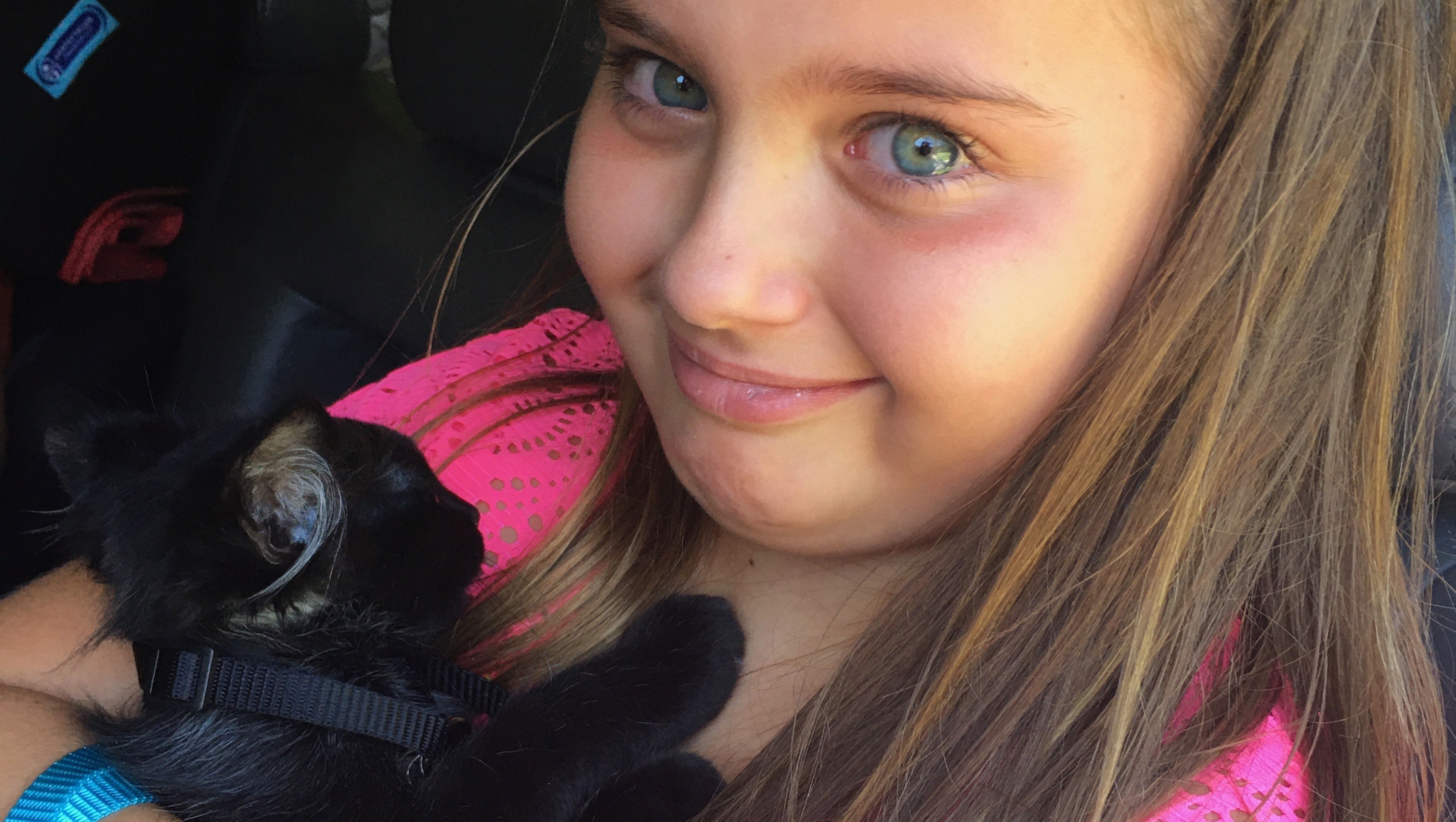 Fundraiser by Angela Tyler : Give Finley a Blood Transfusion