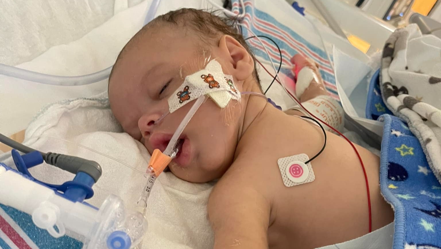 Fundraiser by Barbara Cantwell : Help for Hayley and Henry