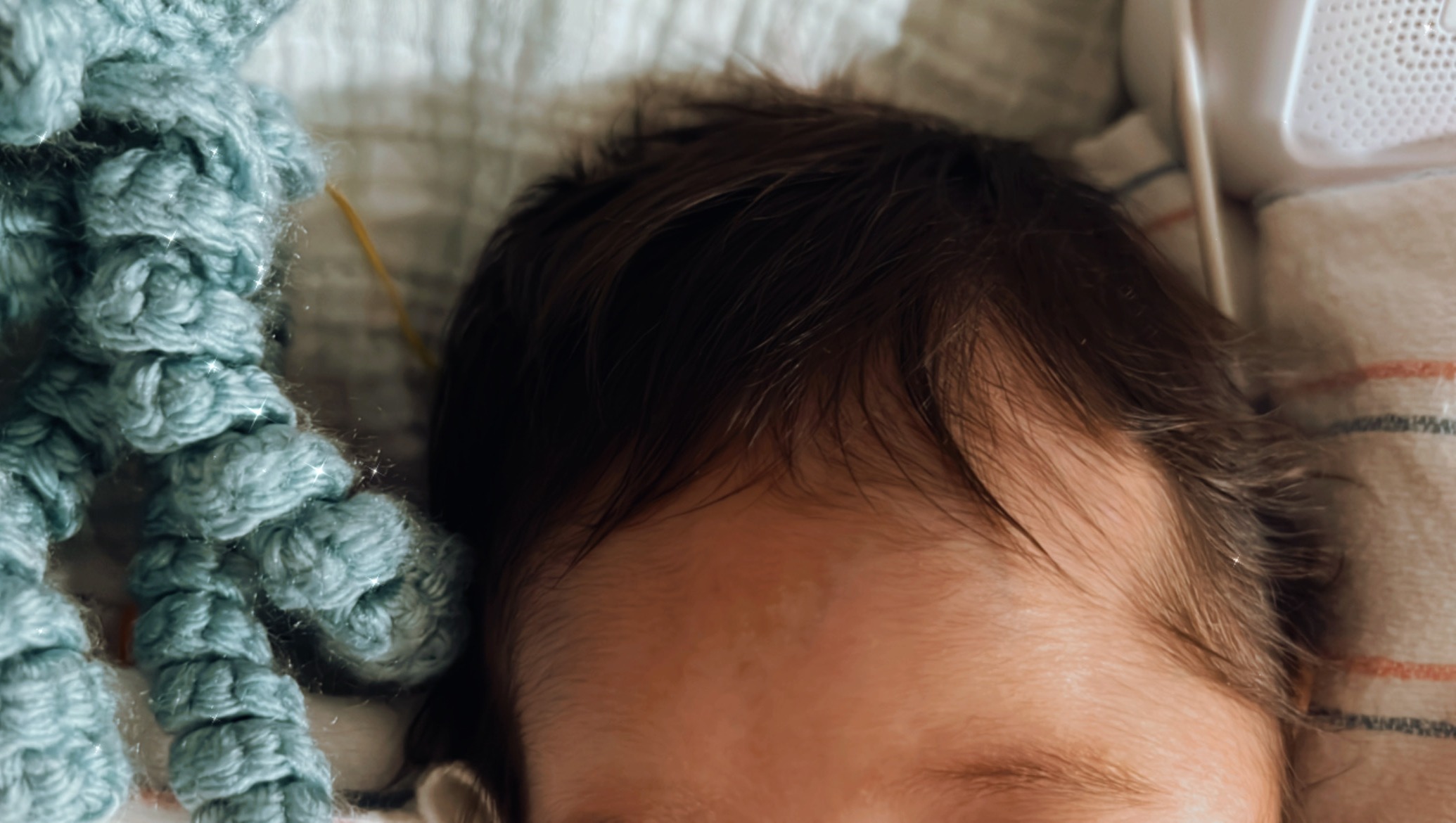 Fundraiser by ARIANA OCEGUEDA : Peanut's Funeral & Memorial