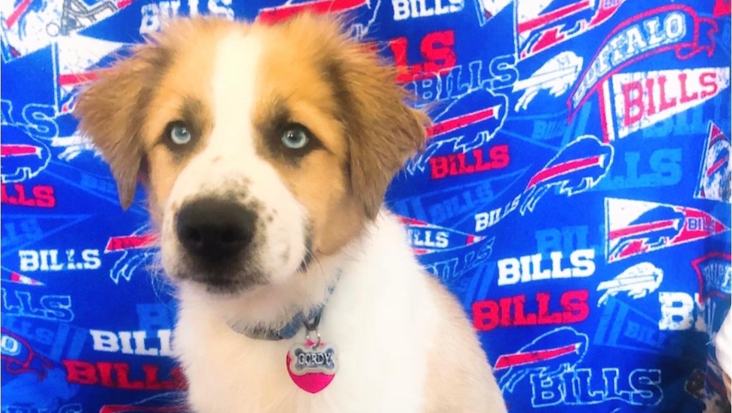 Fundraiser for Michael Workley by Amy Bonnette : Help Young Gordy with ...