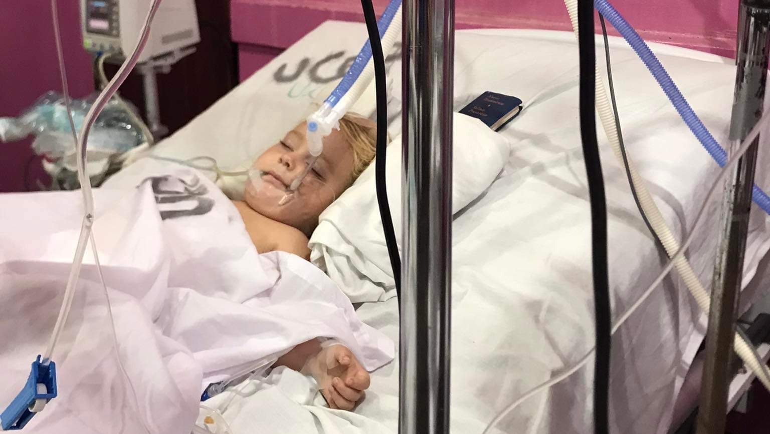 Fundraiser for Lauren Arsenault by Lauren Arsenault : Medical Support ...