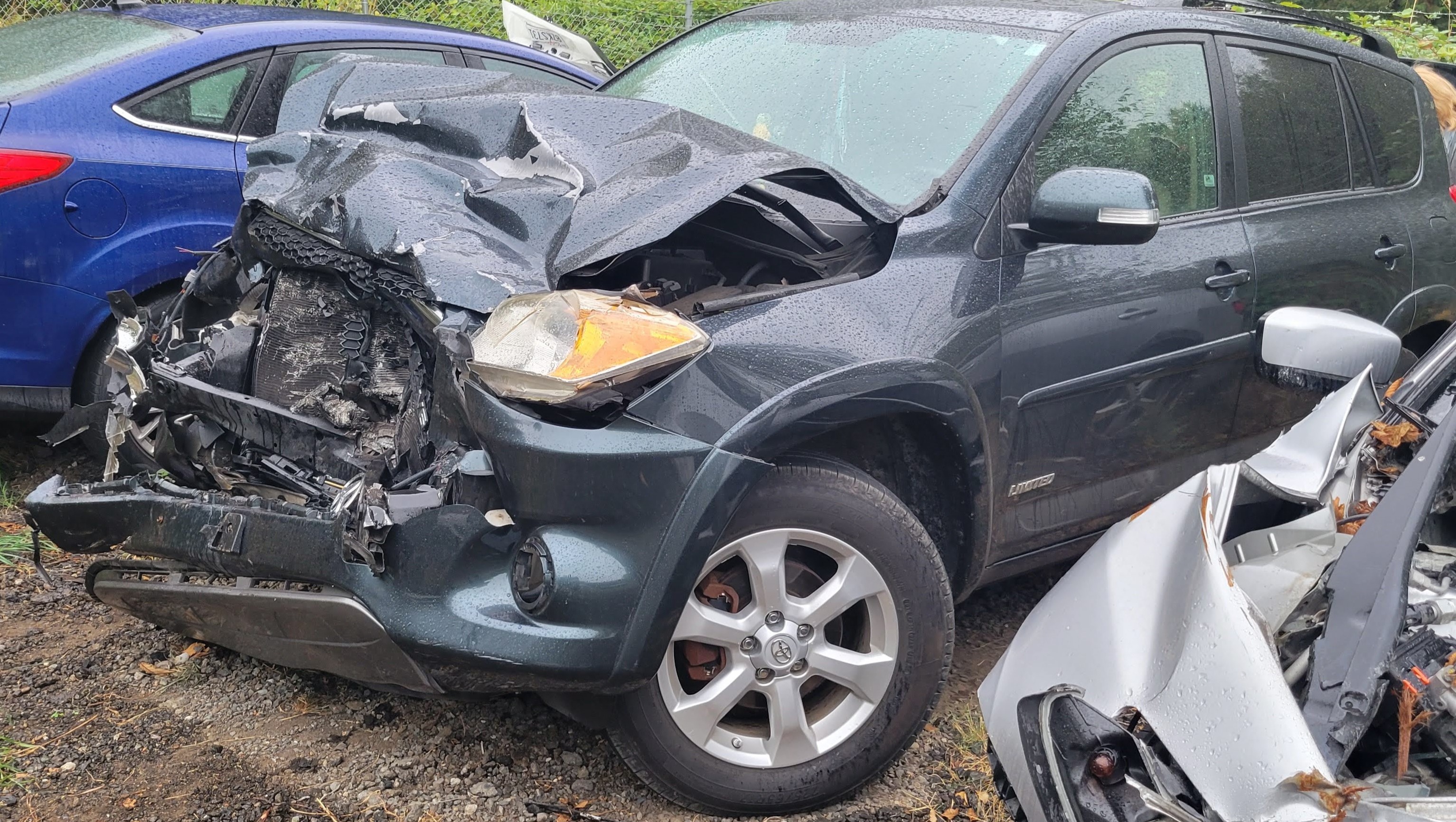 Fundraiser for Barbara Bromley by Amy Bromley : Help Ms. Bromley get to ...