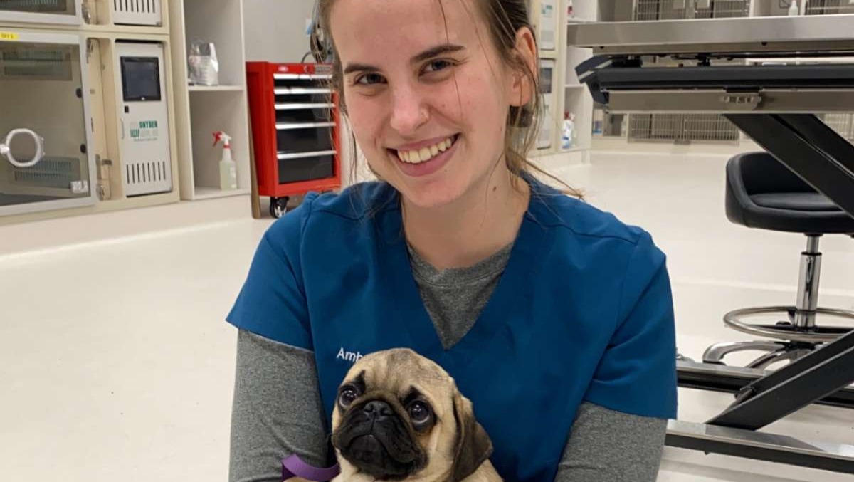 Fundraiser for Amber Bennett by Judith Nauta : Veterinary Technician In ...