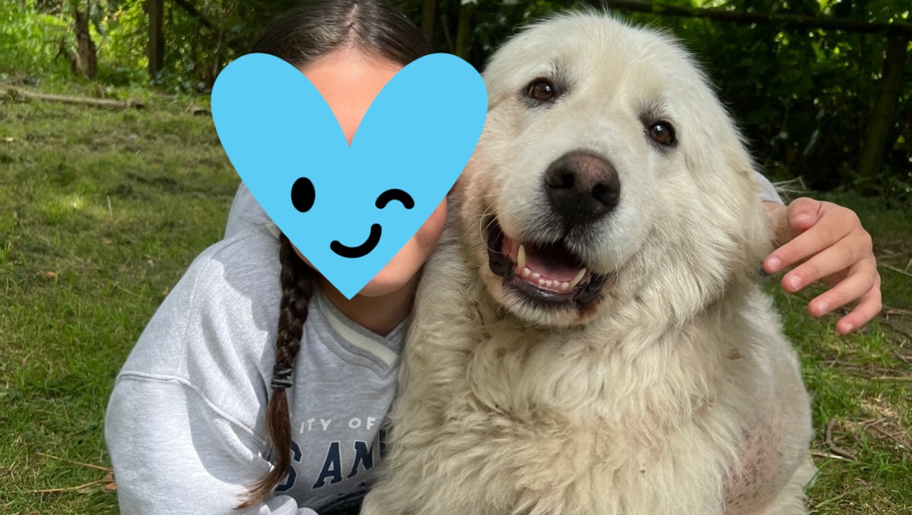Fundraiser by Breanna Merritt : GHOST NEEDS YOUR HELP