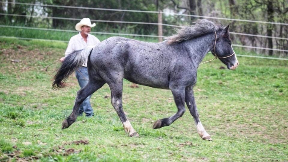 Fundraiser for Calvin Halford by Stephanie Smith : Calvin Halford ALS ...