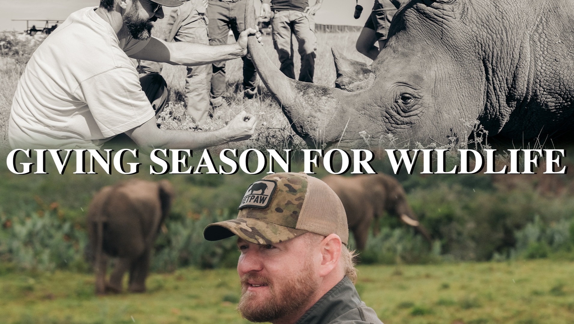 Fundraiser by vetpaw.org : Giving Season for Wildlife