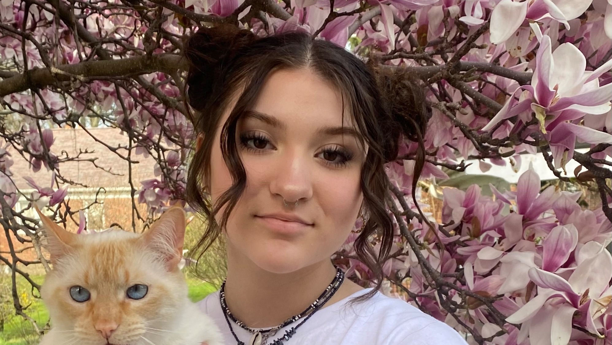 Fundraiser by Katie Tiger : Audrey Maria Kellogg