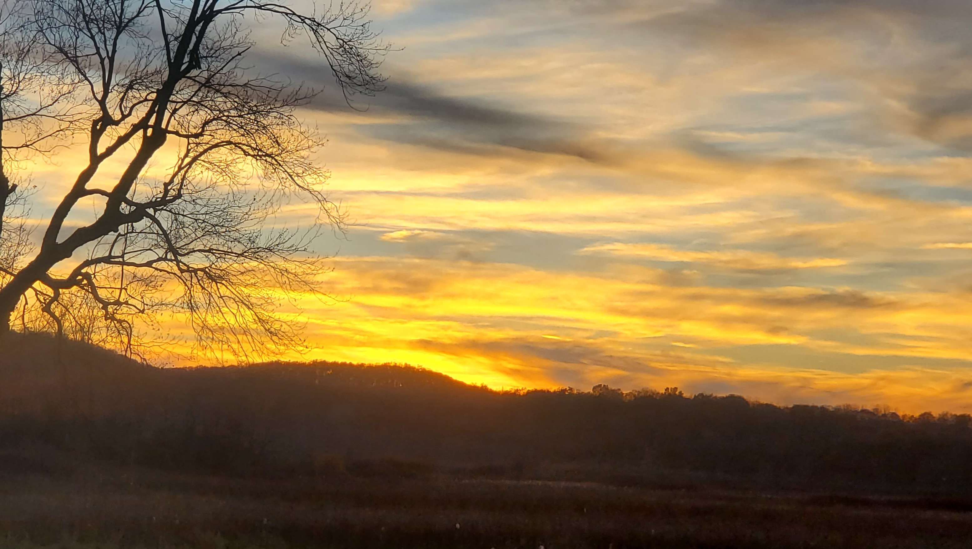 Fundraiser by Charlene Todd : Antonio Powell's 23 Year Old Son