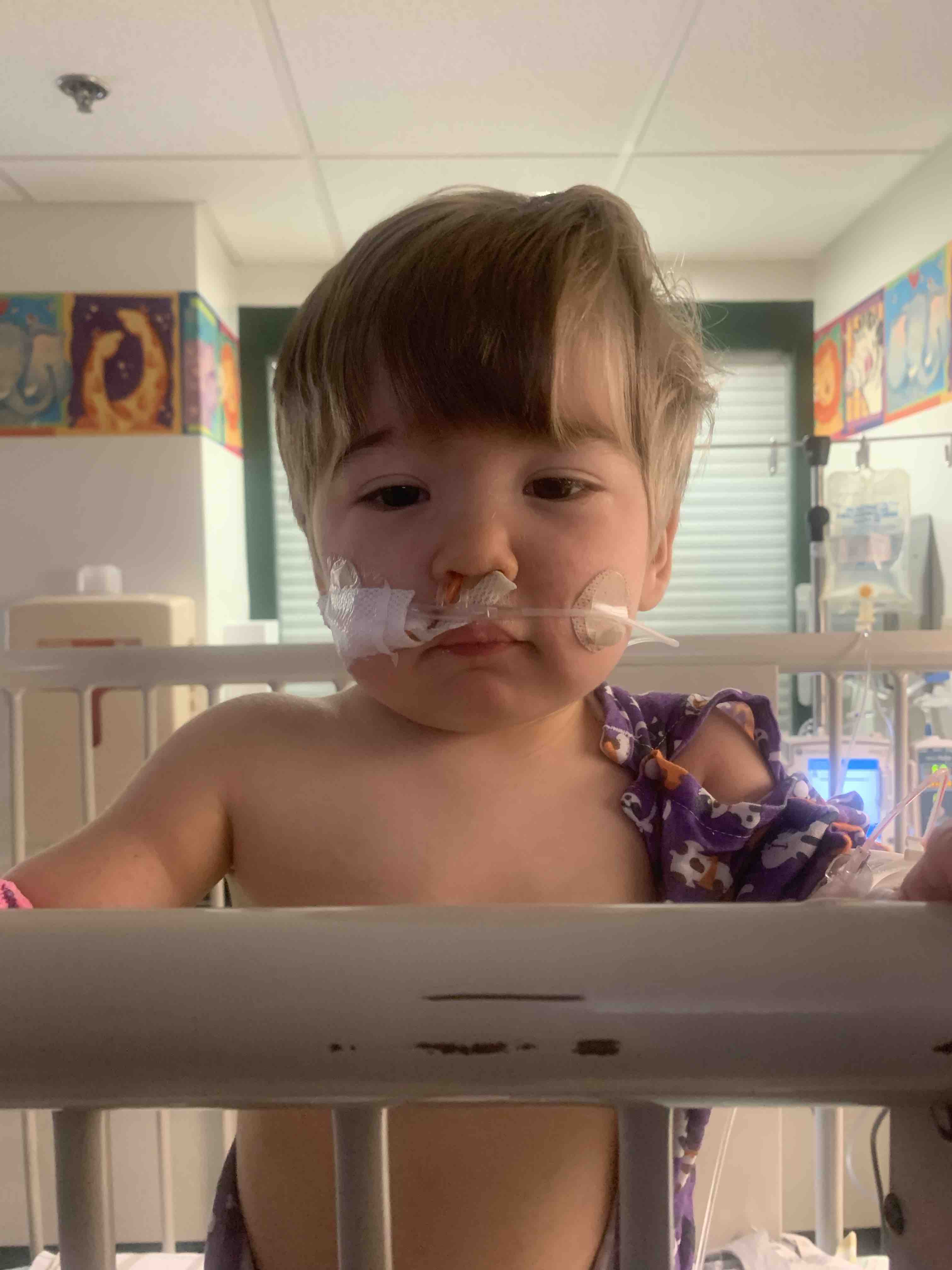 Fundraiser by Sarah Jesse : Help us help korben!