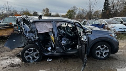 Fundraiser by Priscilla Robledo : Help Amanda Robledo-Victim of Severe ...