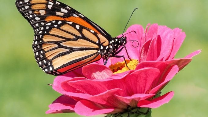 Fundraiser for Kelly Kate Crossland by Victoria Andro : Honoring ...