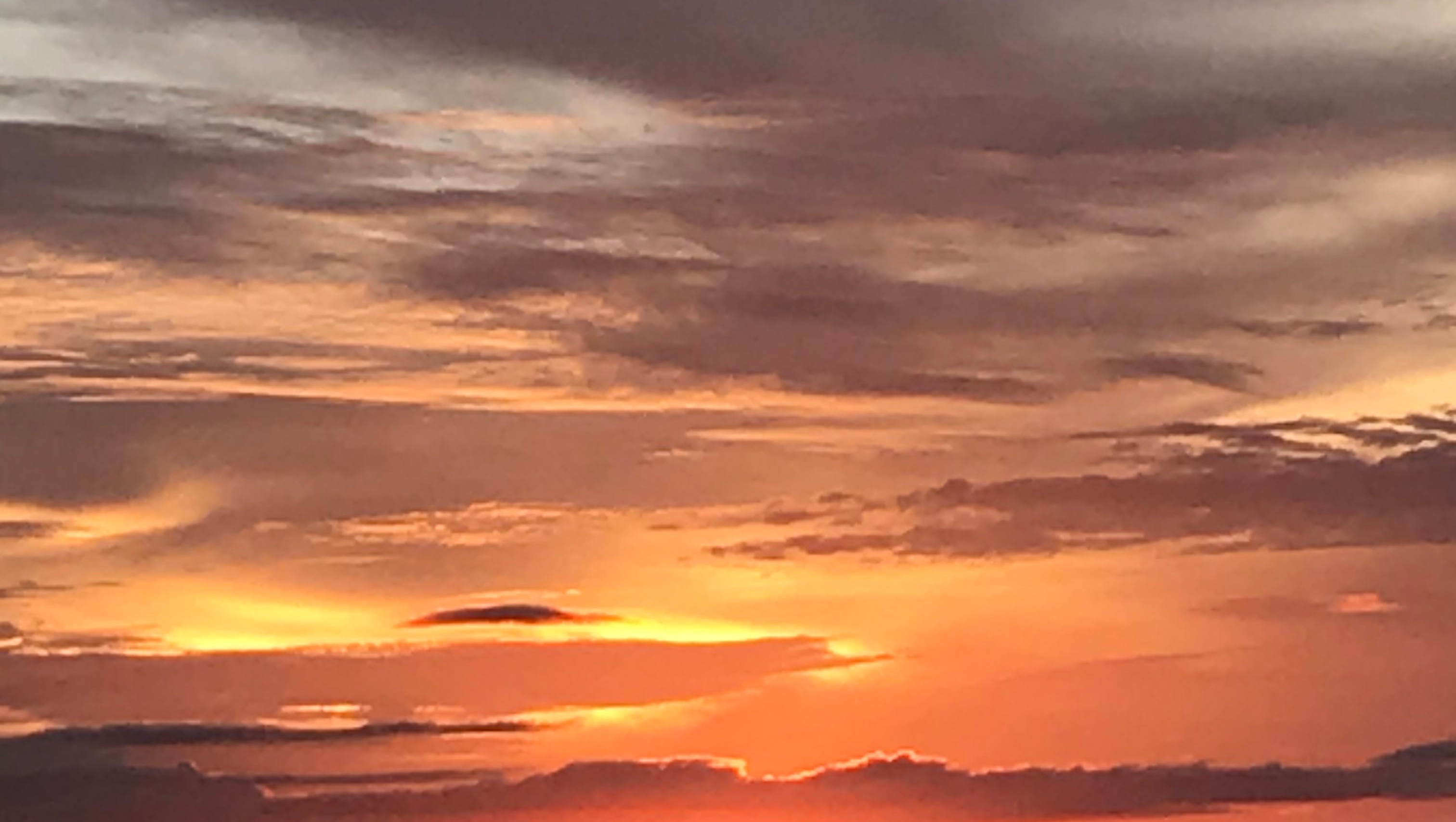 Fundraiser by Wilner Brouard : Roberta West-Ellison