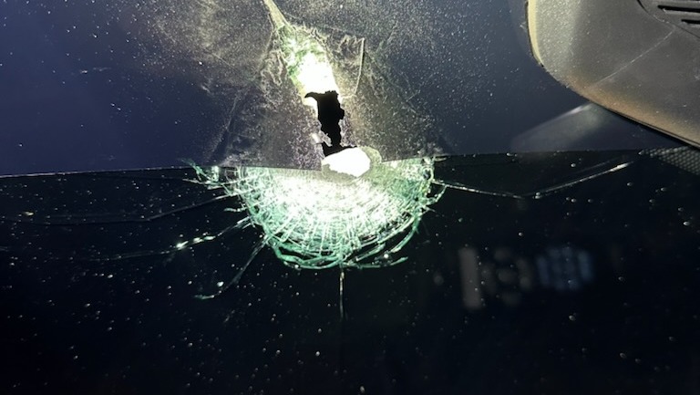 Fundraiser by Ed Lyons : Lieutenant Collar shot in head.