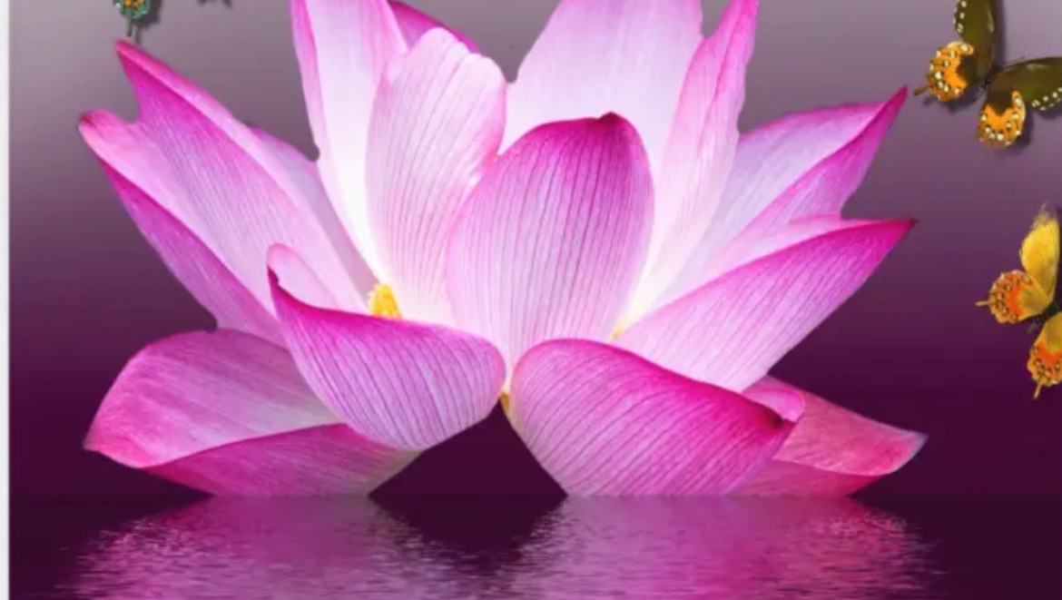 Fundraiser for Joline Cherubin by Michele Lockhart : Officer Bien-Aime ...