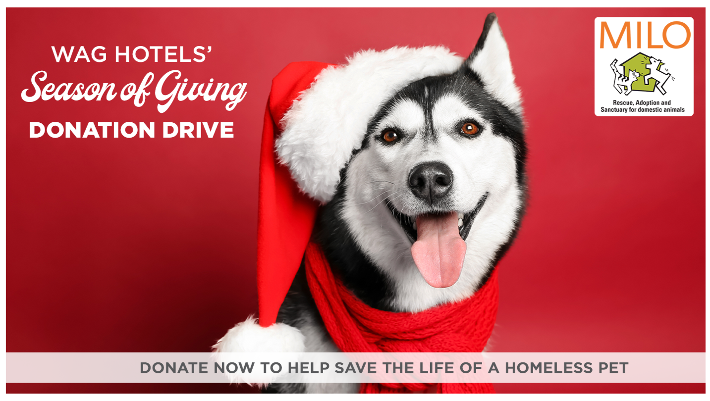 Fundraiser by Wag Hotels : Season of Giving - The Milo Foundation
