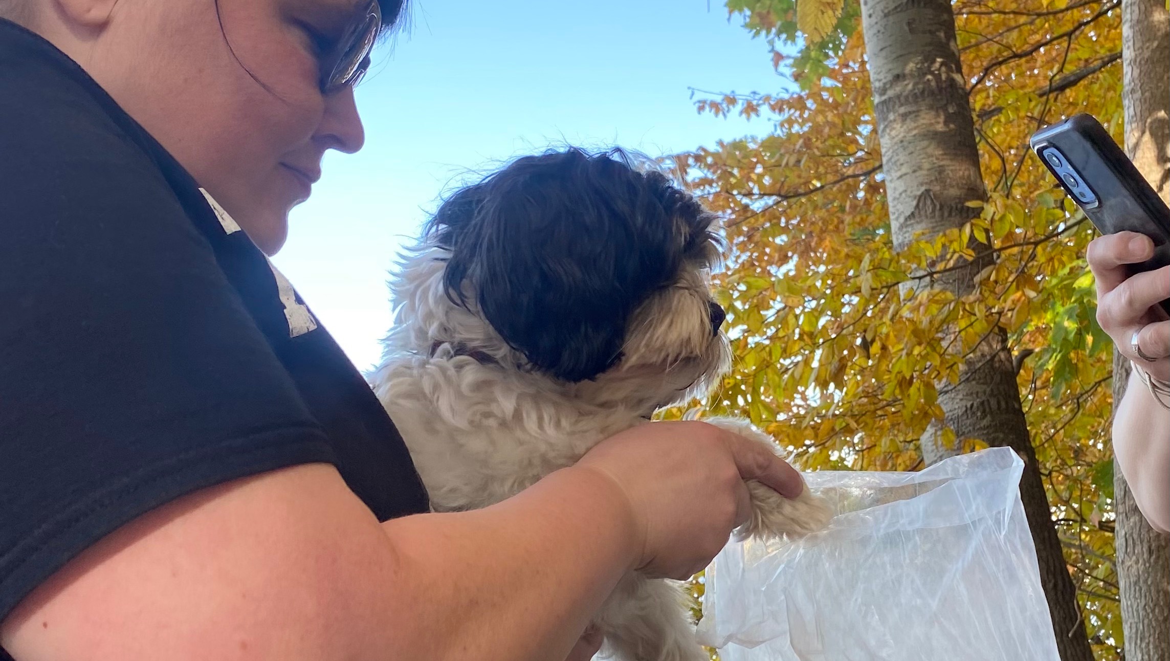 Fundraiser by Melanie Davidson : Boomer And Melanie’s Life In Transition