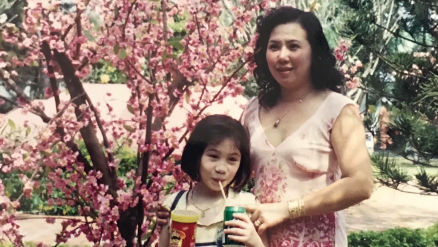 Fundraiser by Cao-Vin Nguyen : Mother stay strong