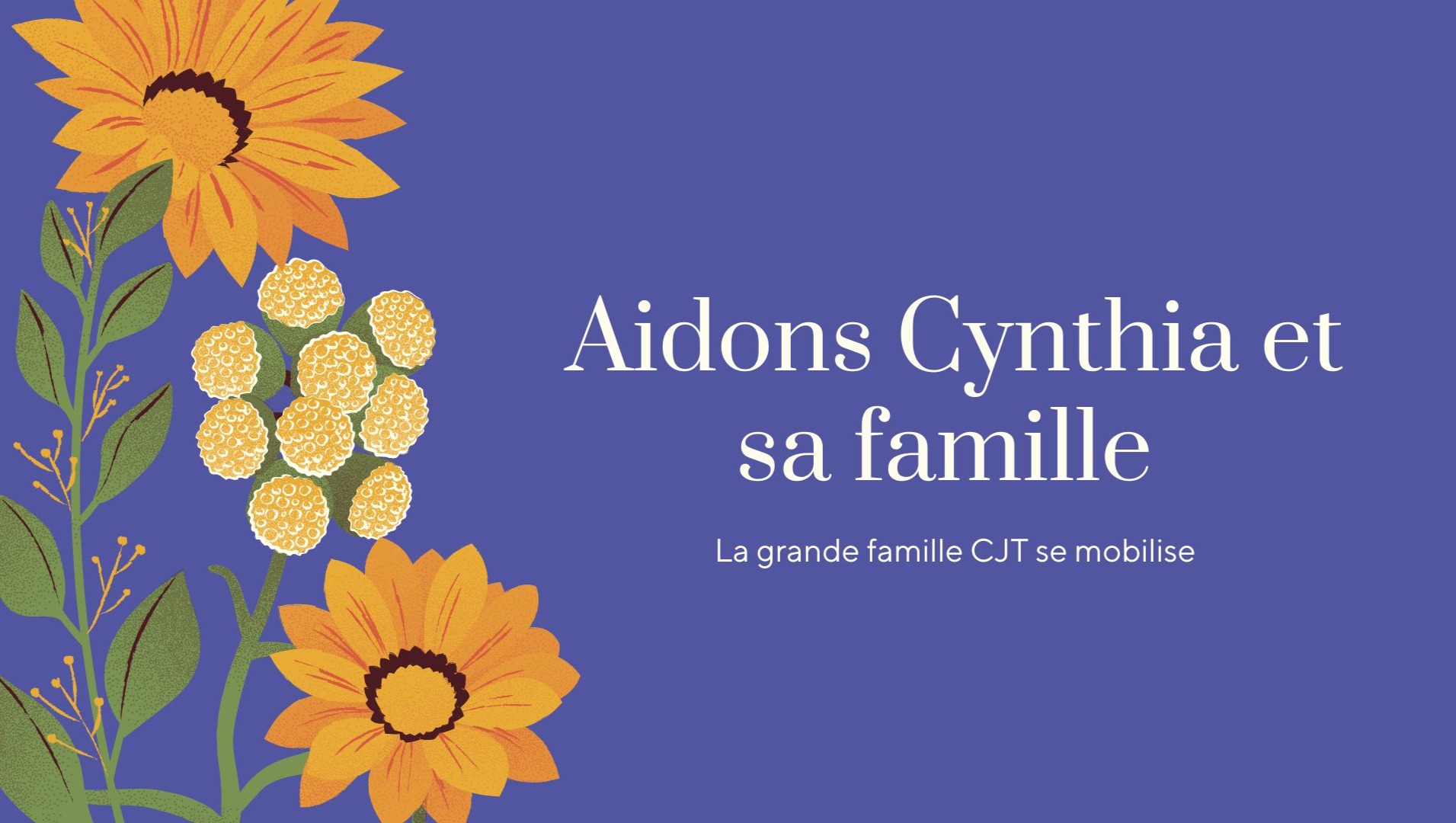 Fundraiser for Cynthia Perreault by Marie-Hélène Gauthier : Cynthia P ...