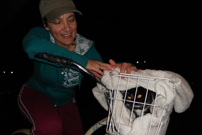 Fundraiser by Michael Lipsky : My friend with schizophrenia needs ...