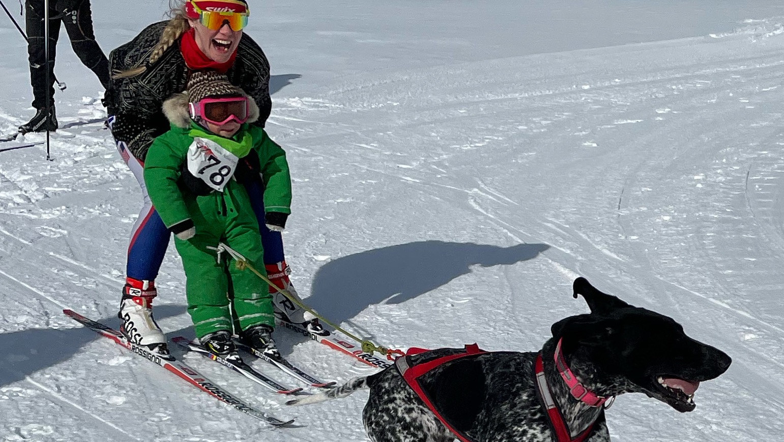 Fundraiser by Jessica Pulliam : Jessica & Dogs IFSS World Championships