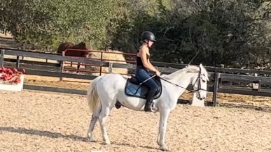 Fundraiser by Jessica Parsons : Rooster