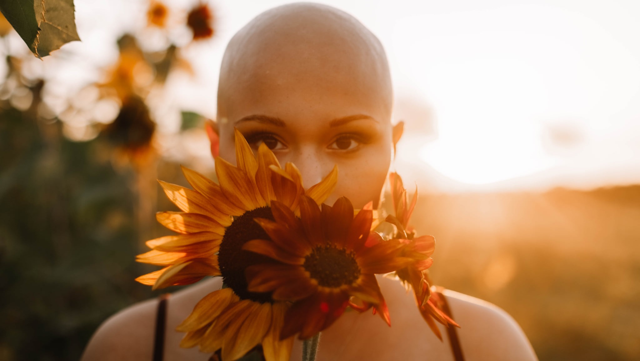 Fundraiser for Joy Simmer by Eliy Simmer : Eliy's Sunflowers - Hospital ...