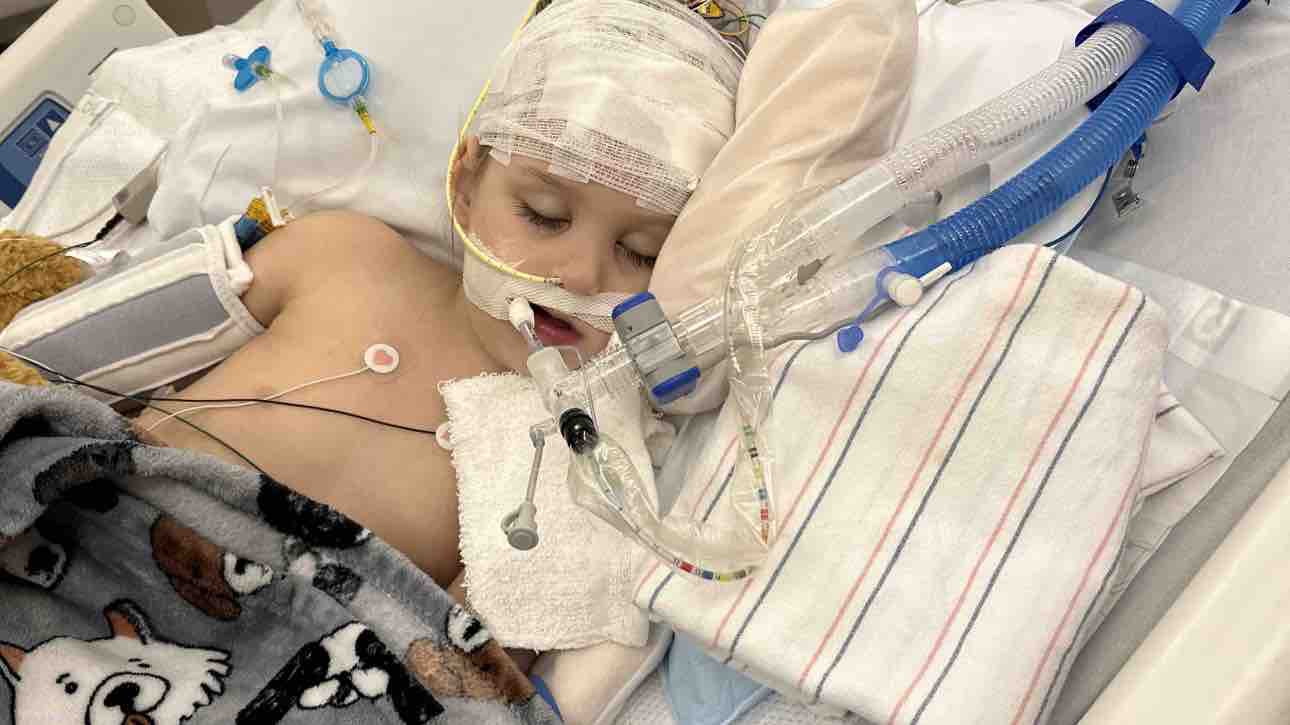Fundraiser for Kelsie Ward by Desiree Baker : Rowan’s Battle with PMG ...