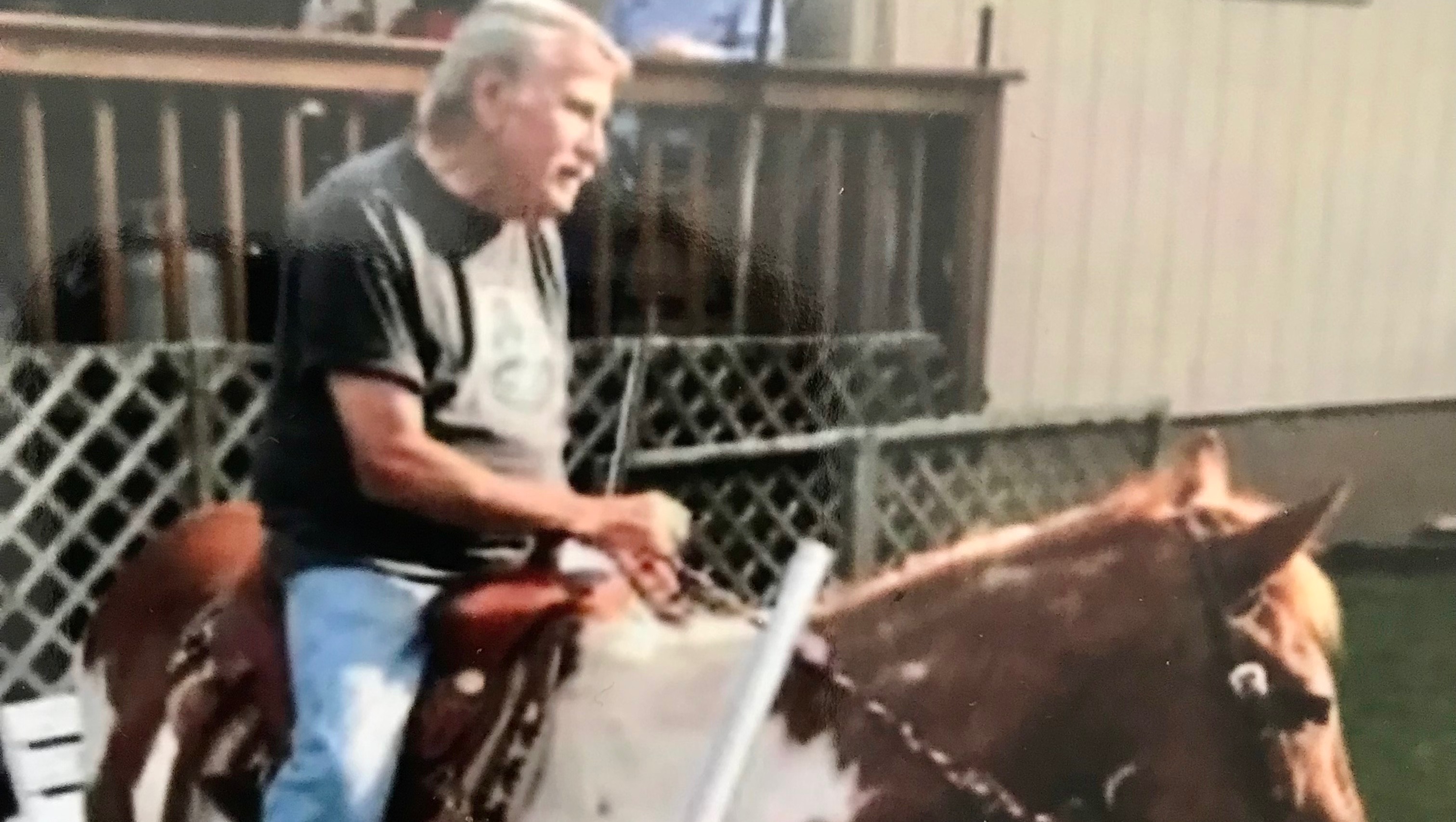 Fundraiser by Angela Farina : Stan’s beloved horses