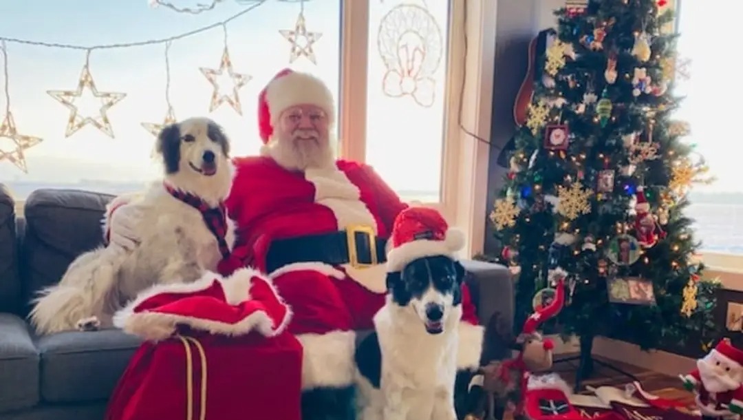 Fundraiser by Andrew Budgell : Santa Budgy 2022