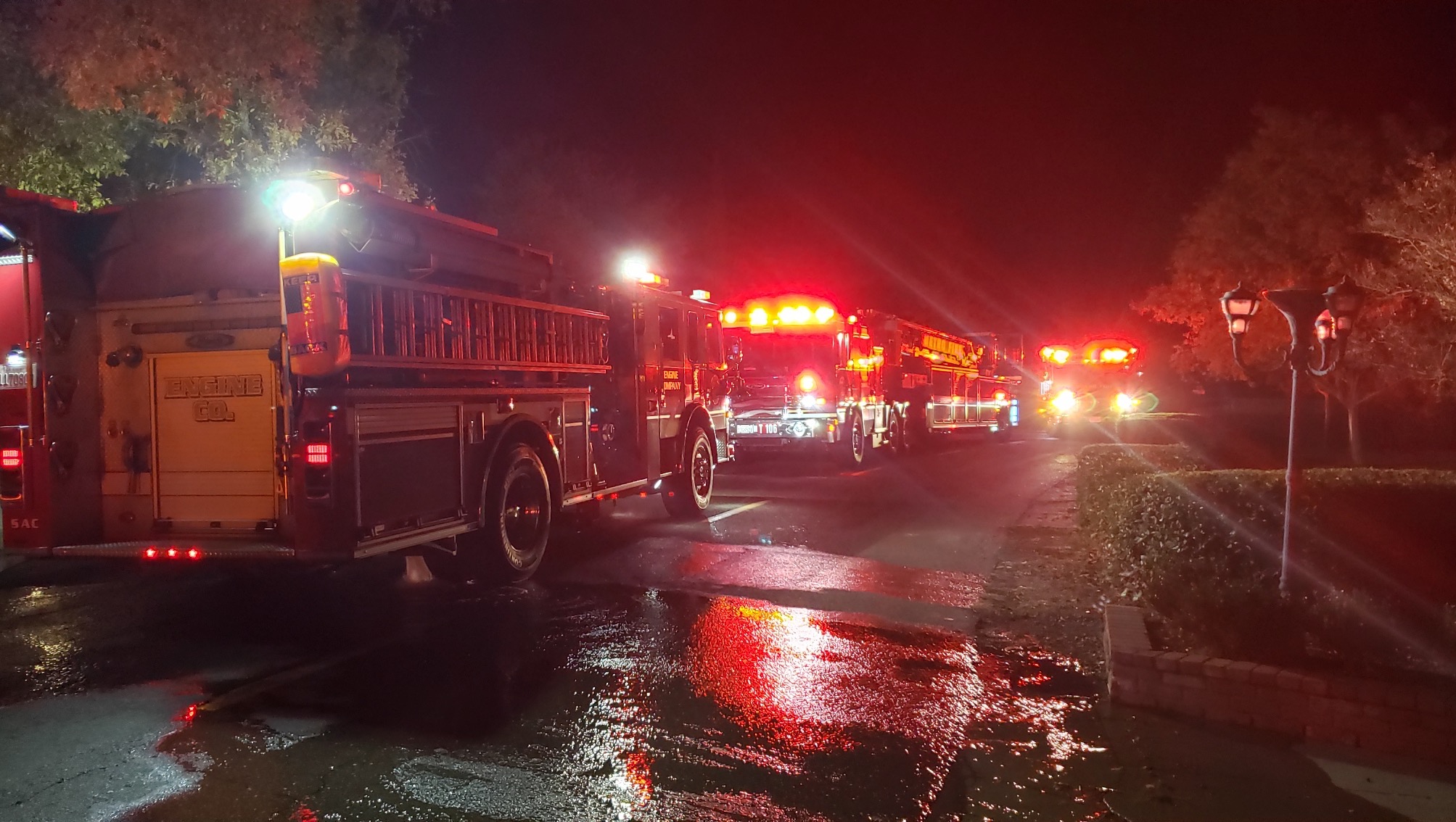 Fundraiser for Steven Varney by Michael Copas : Steve Varney