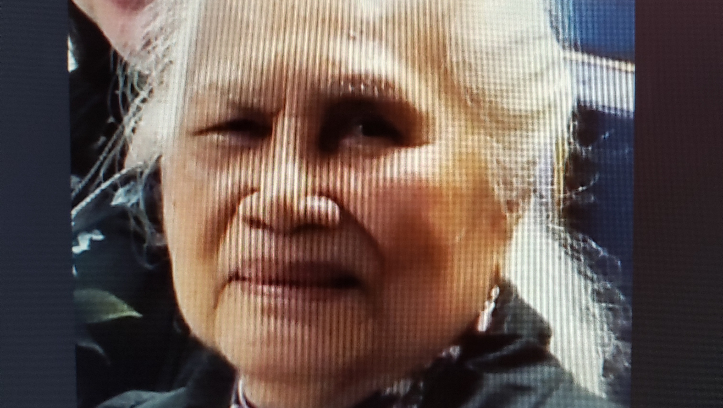 Fundraiser by Susie Rodriguez : Avalii Magalii Petaia Daniel