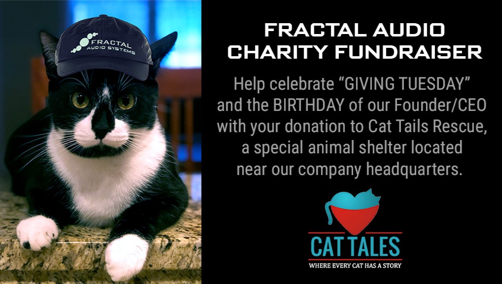 Fundraiser for Danielle Chase by Matt Picone : Fractal Audio Feline ...
