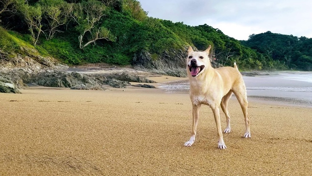 Fundraiser for Kourtnei Miller by Michael Casarin : Help Los Webb’s ...