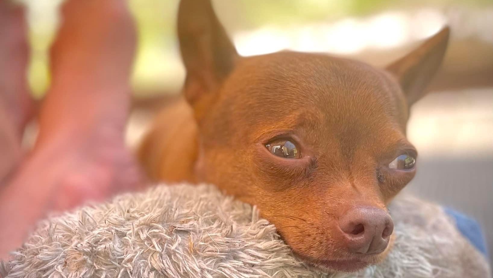 Fundraiser for Jill Frink by Kristin Brosky : Stanley Frink's Emergency ...