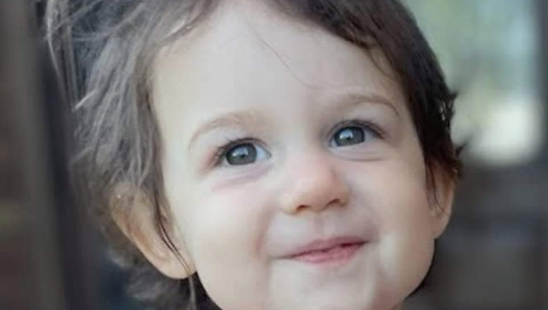 Fundraiser by Rachel Morgan : Natty's Fight