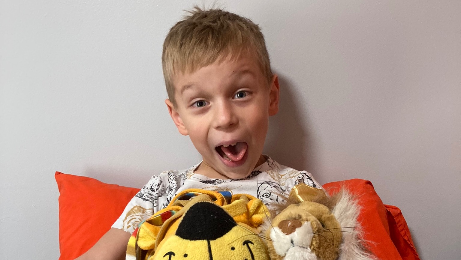 Fundraiser for Daniel Speer by Robin Troutman : Allen the Lion-Hearted