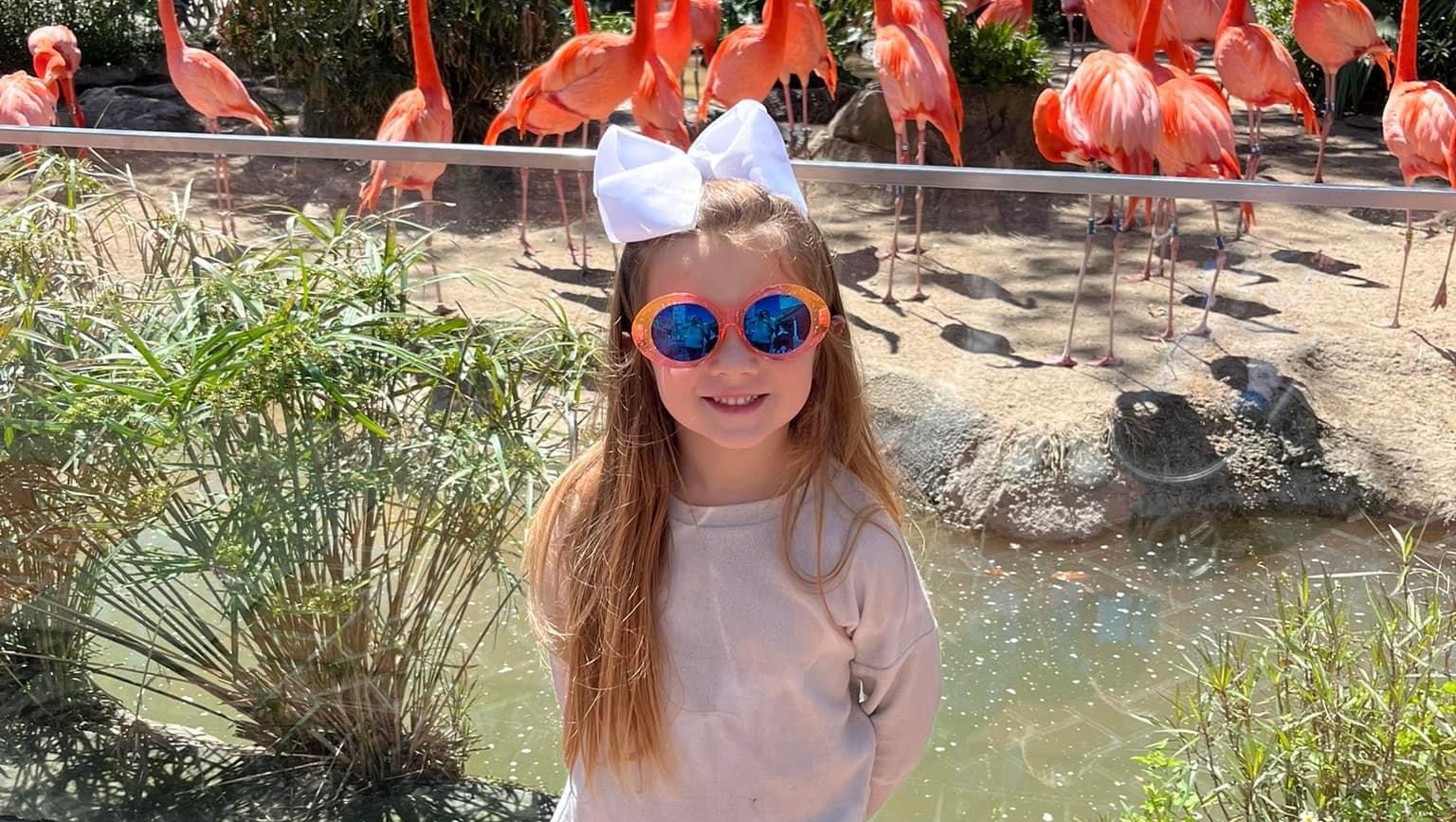 Fundraiser for Adrienne Sanders by Lauren Peace : Adley Fights Leukemia