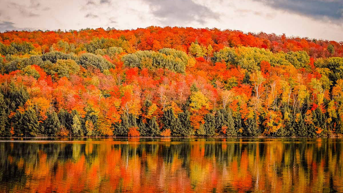 Fundraiser for Iris Hernandez by Joe Poole : i need help moving back home