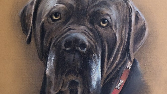 Fundraiser by Collette Murphy : Irish Portraits Charity Appeal 2022