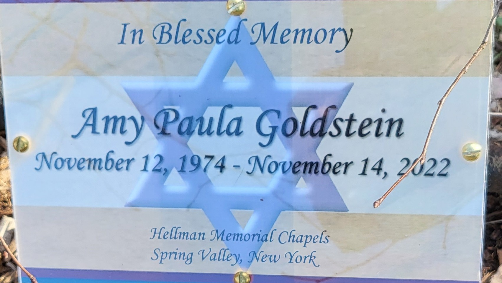 Fundraiser by Scott Gay : Amy Goldstein Memorial Education Fund