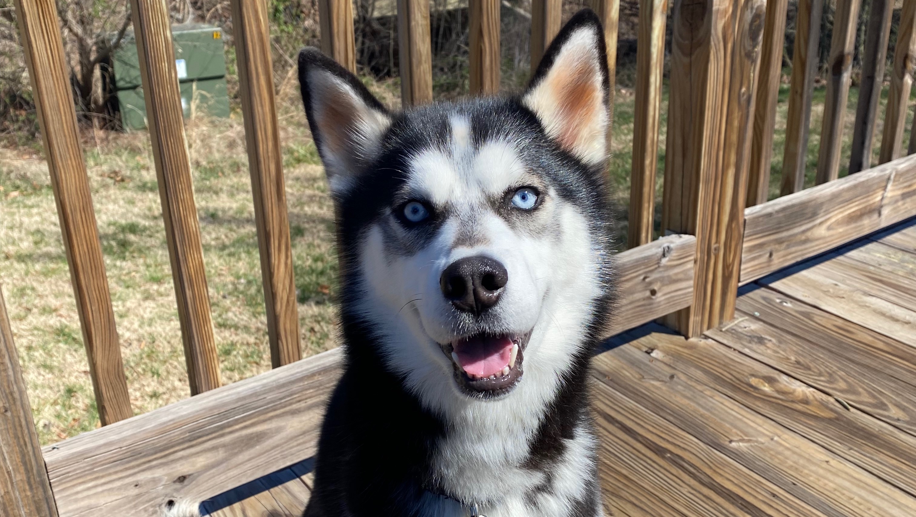 Fundraiser by Brooklyn Balzer : Nike’s Surgery