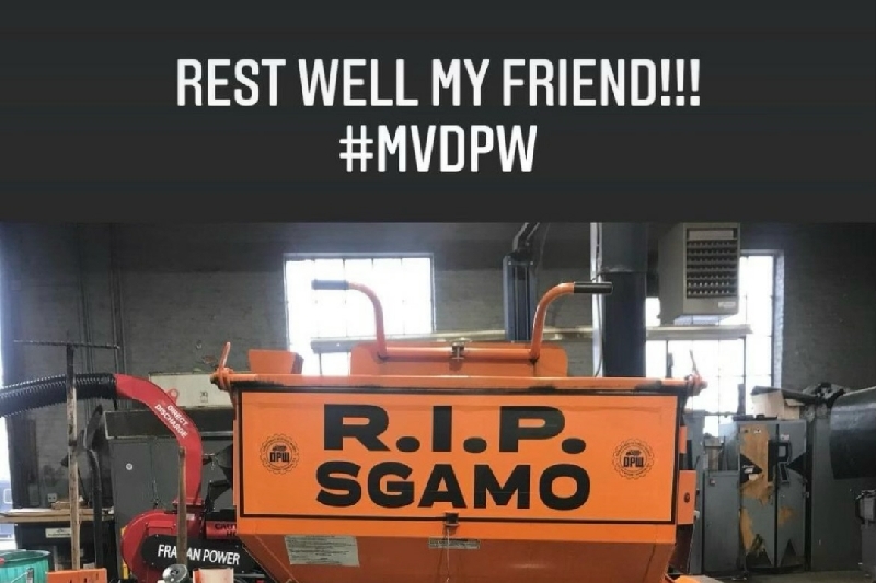 Fundraiser for Dominique Sgammato by Gina Cardillo-Horgan : Mount ...