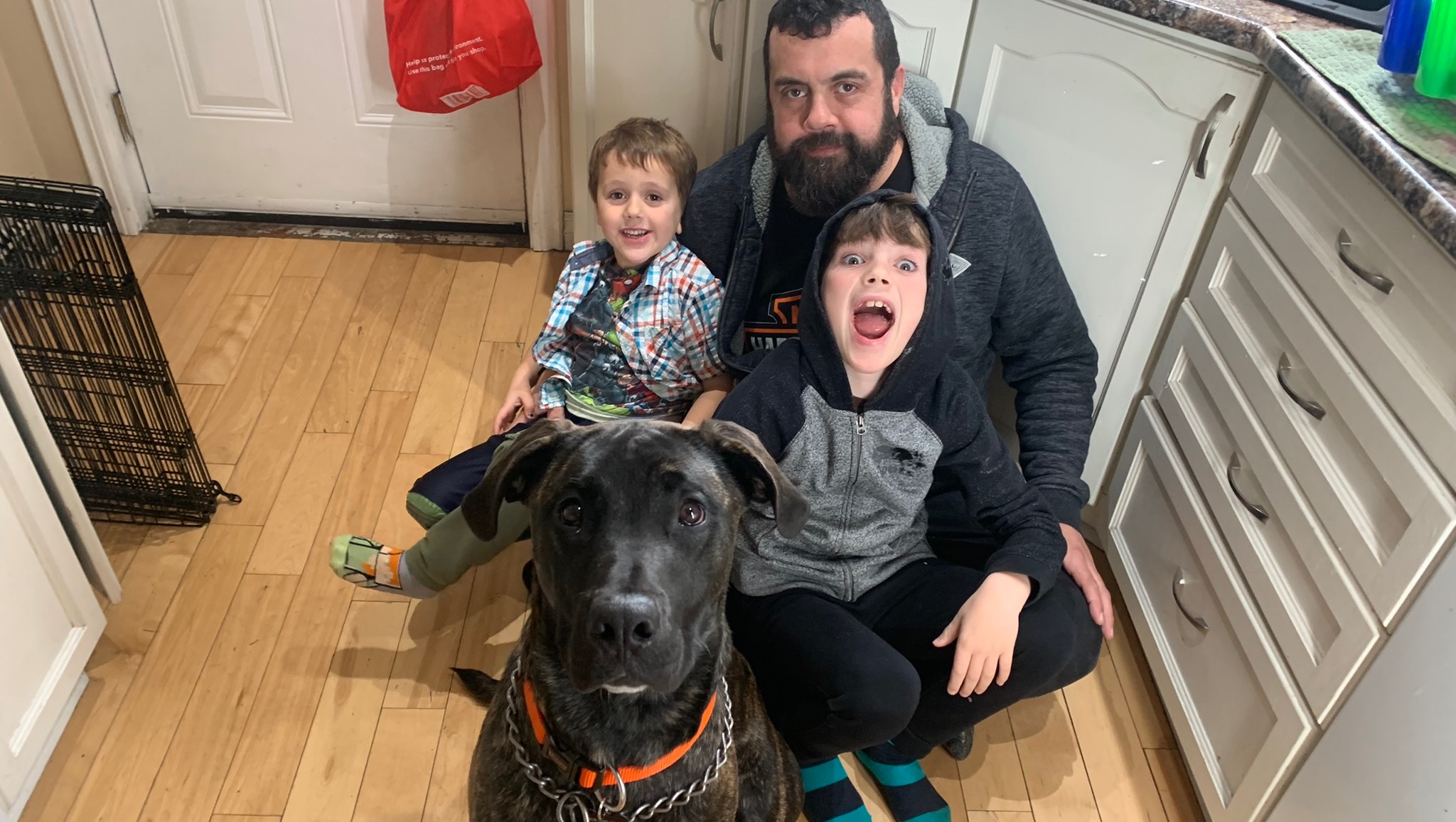 Fundraiser for Johnny Ralph by Lyndsay Everett : Help Johnny Hear!