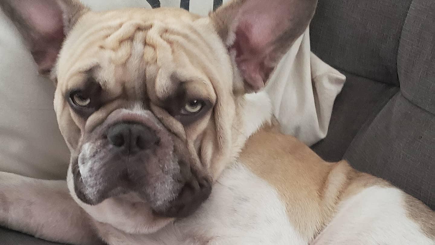 Fundraiser for Daniel Maceachern by Ellowyn Marketing and Consulting ...