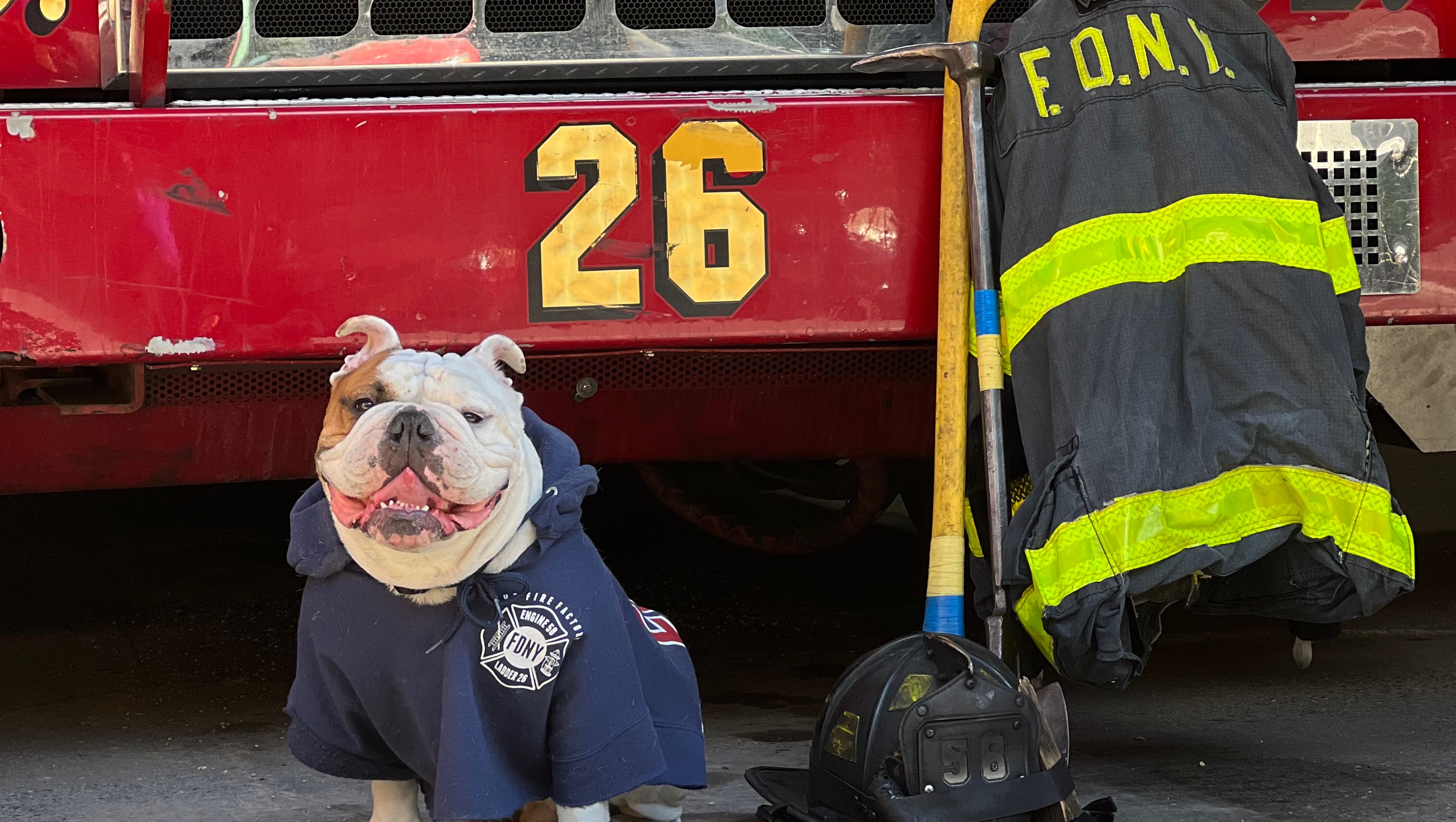 Fundraiser by Thomas Eng : Help FDNY Pup Beat His Brain Tumor